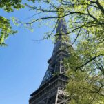 53 French swear words, curse words, and naughty profanity - Snippets of ...