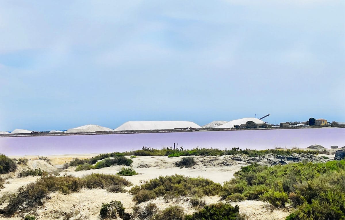 Camargue Regional Park: Wetlands and wildlife in the south of France