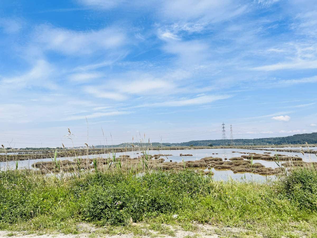 Camargue Regional Park: Wetlands and wildlife in the south of France