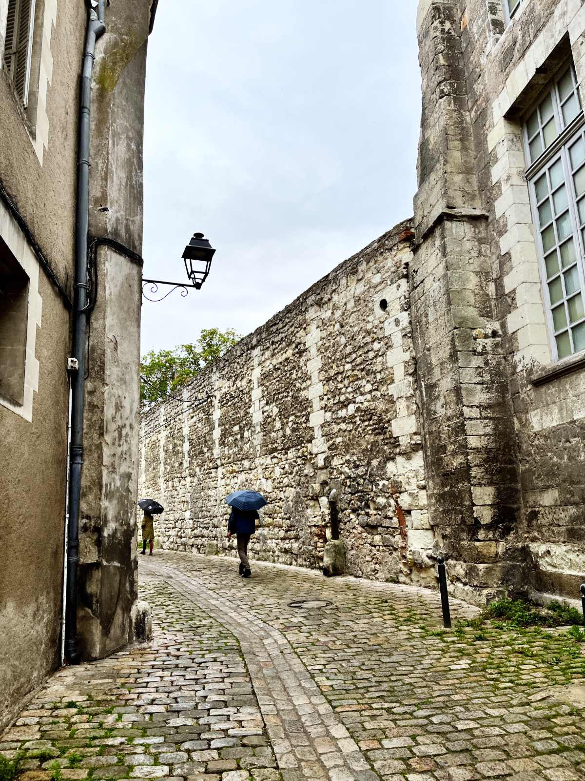 Tours: Renaissance city in the Loire Valley