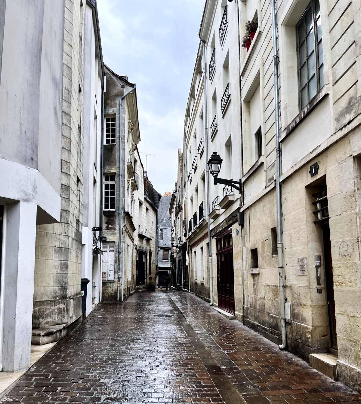 Tours: Renaissance city in the Loire Valley